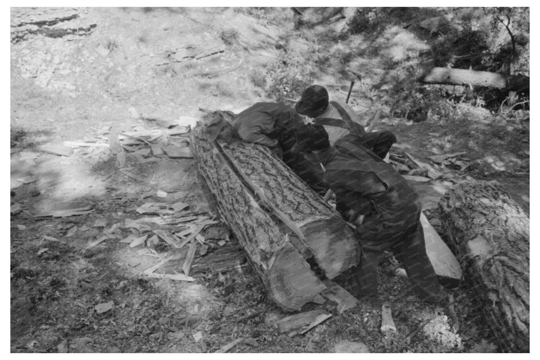 1940-pie-town-new-mexico-log-splitting-for-railroad-ties-203914.jpg?v ...