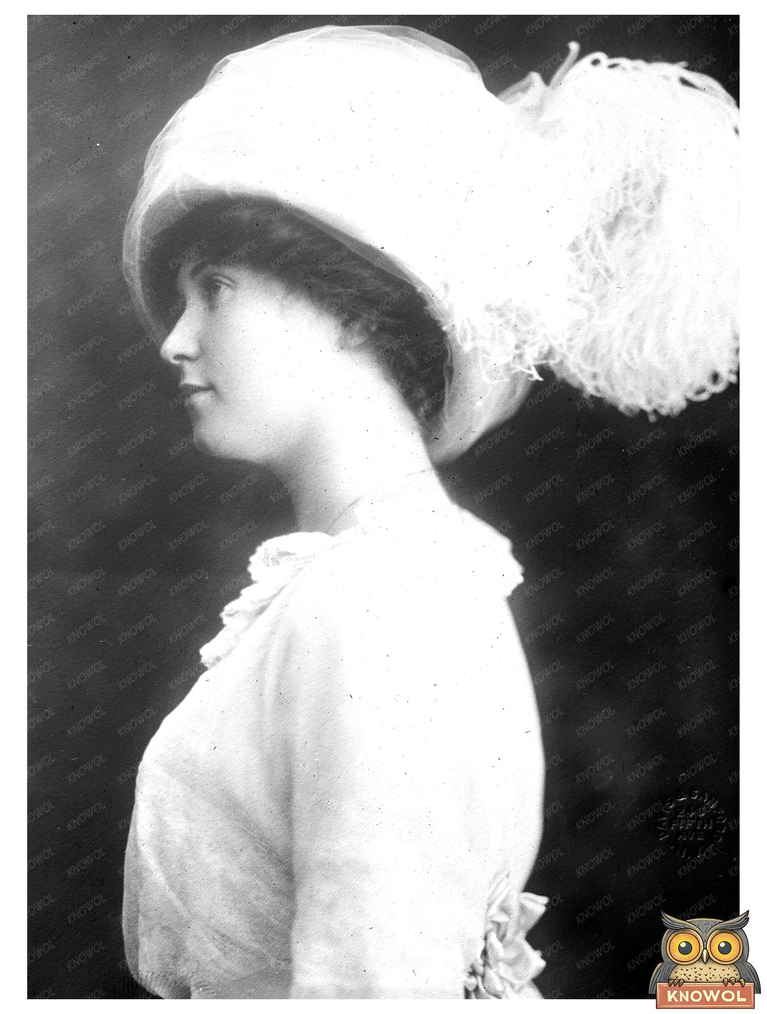 Hope Hamilton: A Cultural Icons Impactful Portrait – KNOWOL