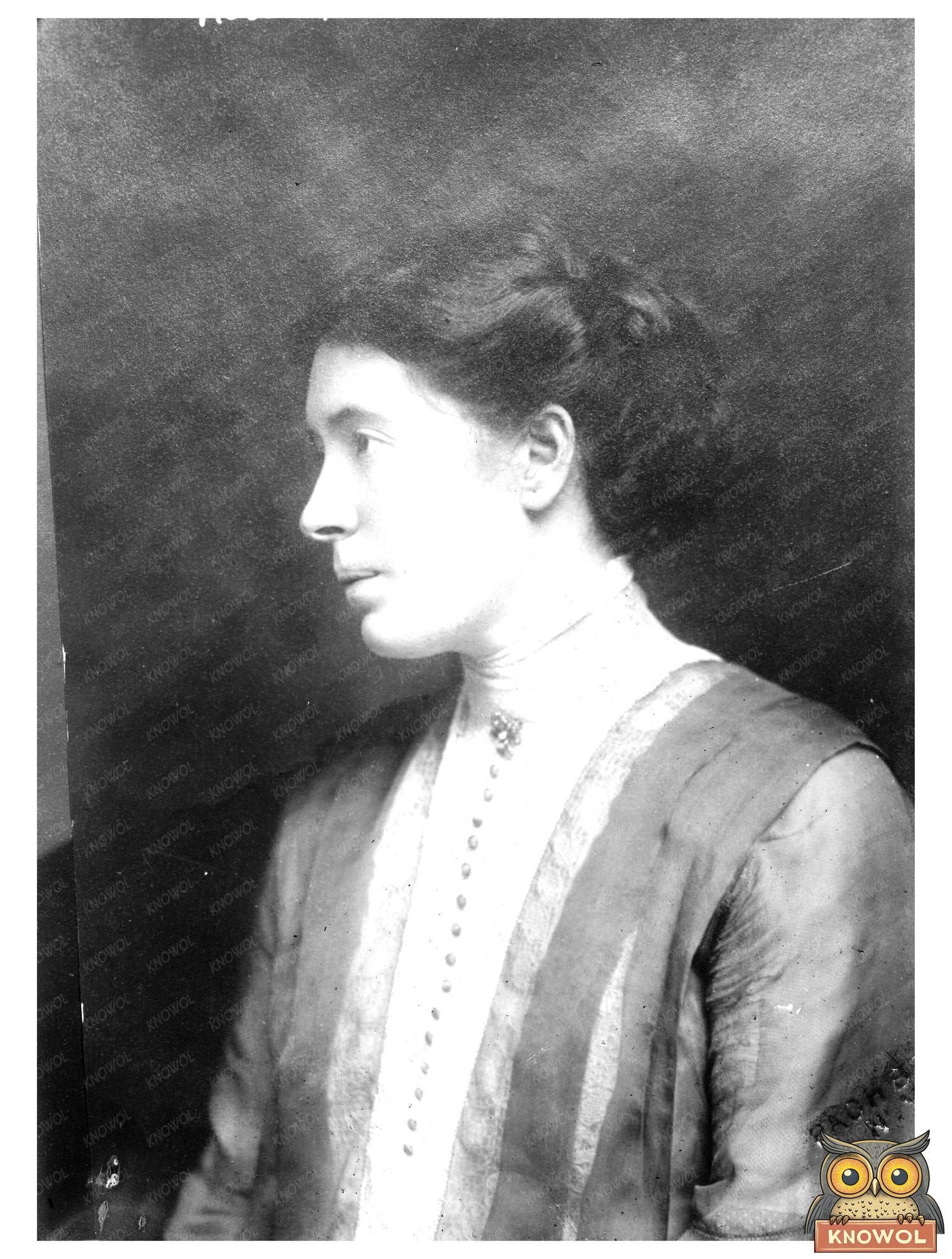 Empowering Activist Rose Pastor Stokes in Portrait – KNOWOL