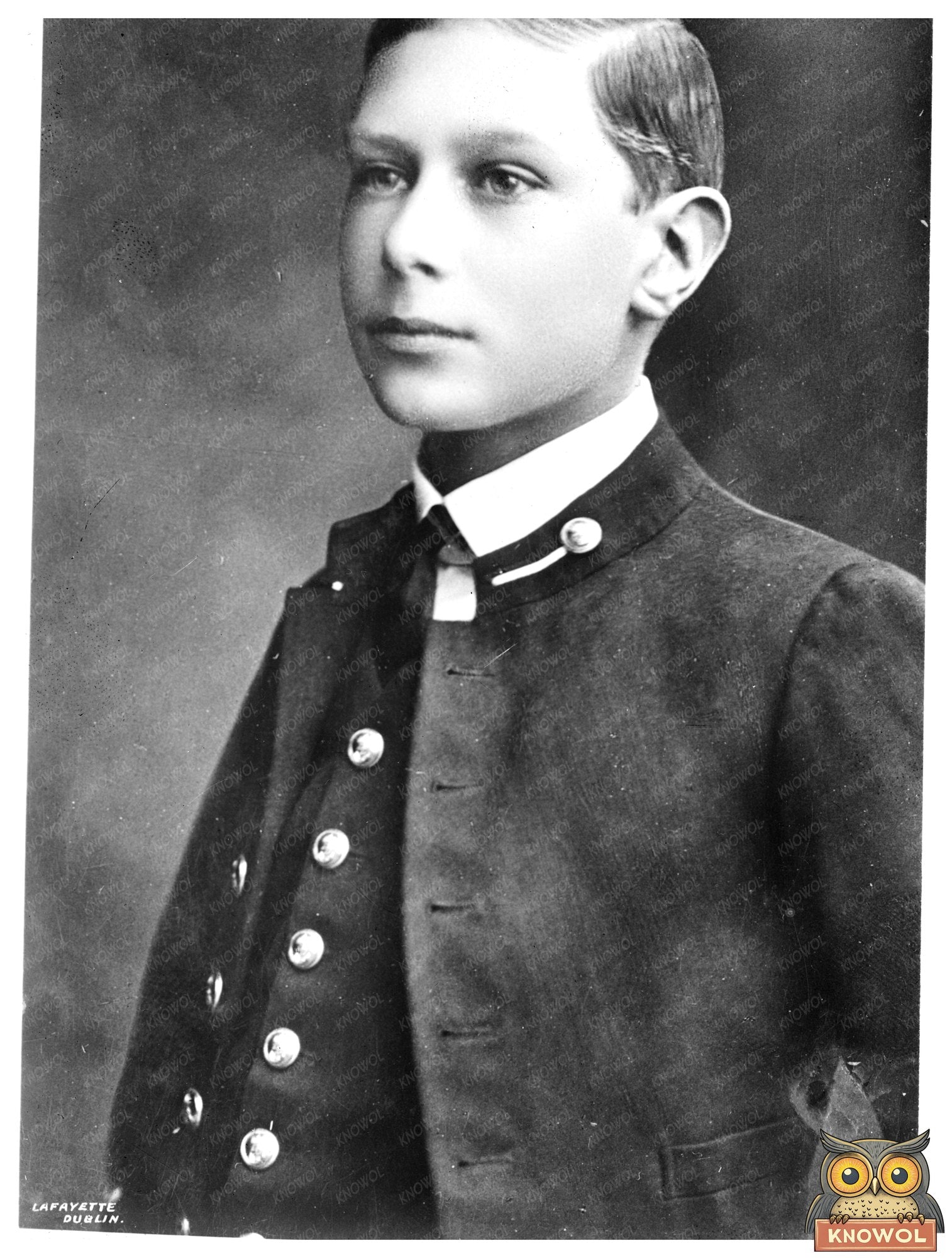 Regal Portrait of Prince Albert, Queen Victorias Consor... – KNOWOL