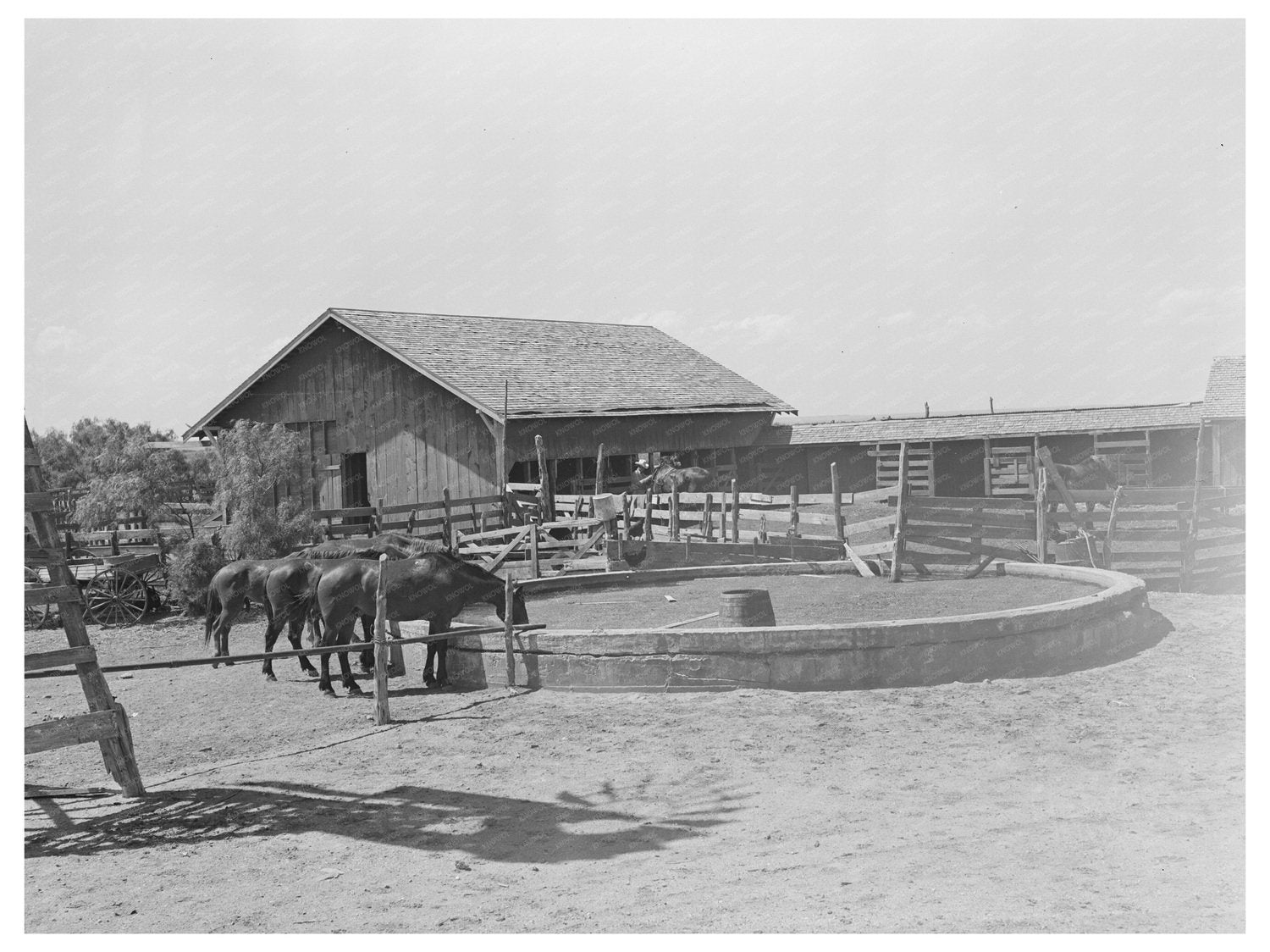 Watering Trough and Barns at SMS Ranch Spur Texas 1939 – KNOWOL