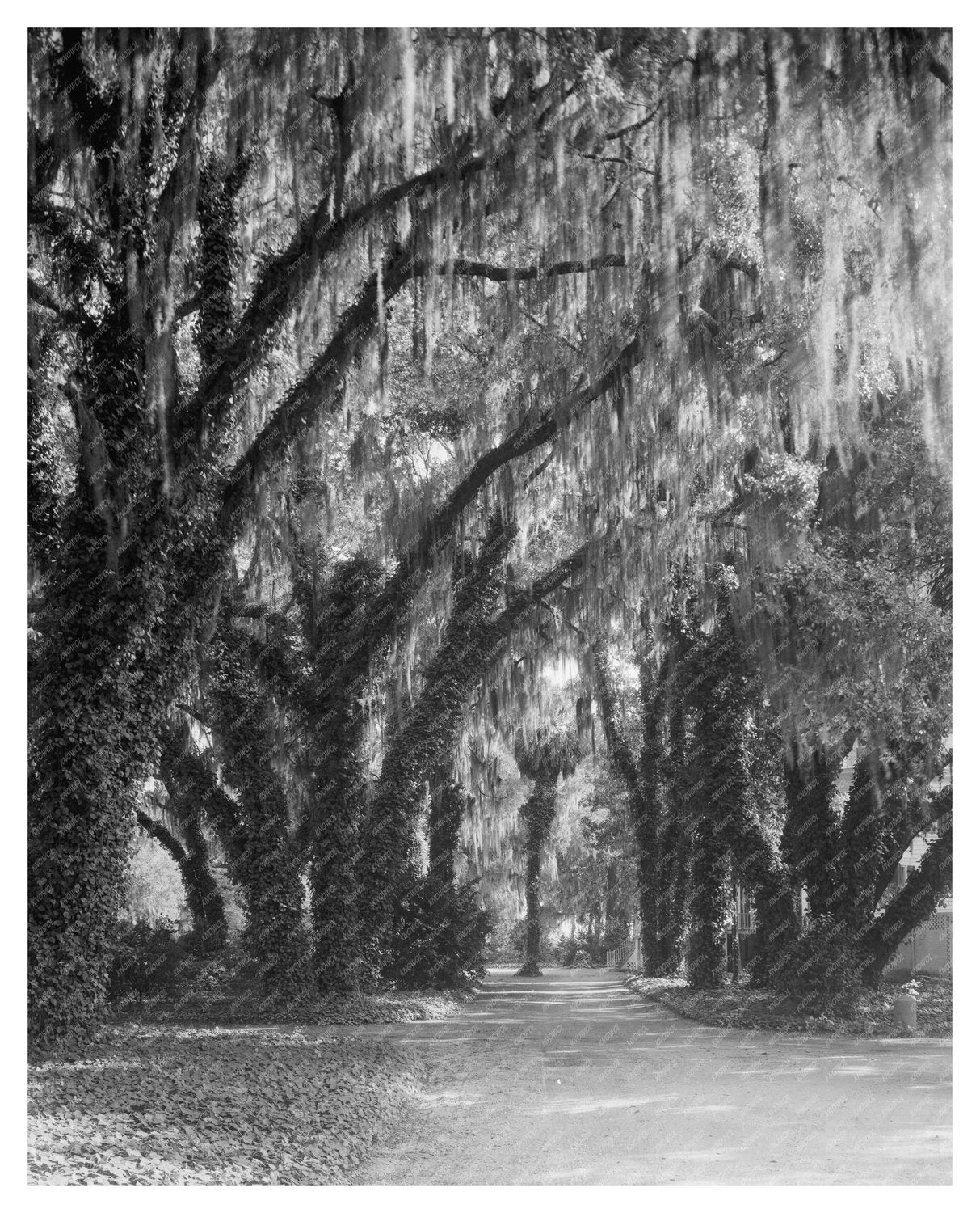Savannah, GA Historic Building Photo circa 1820 – KNOWOL