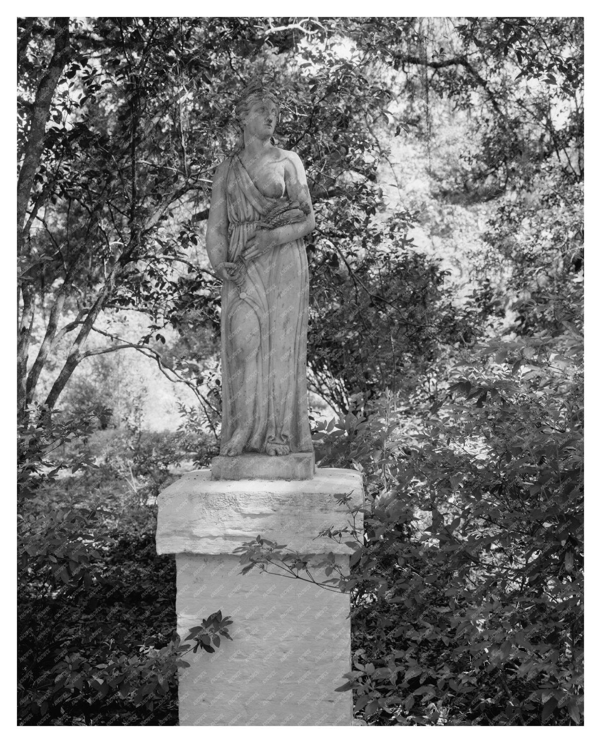Historic St. Francisville, LA Building Photo, 1835 – KNOWOL