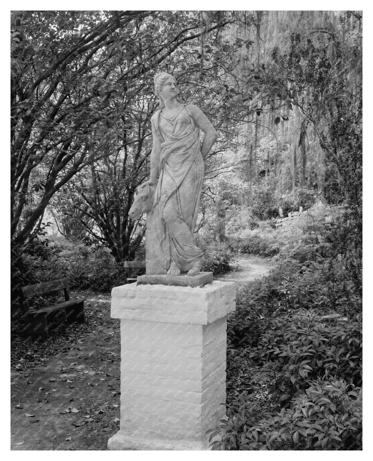 Historic Site in St. Francisville, LA - 1835 Photo – KNOWOL