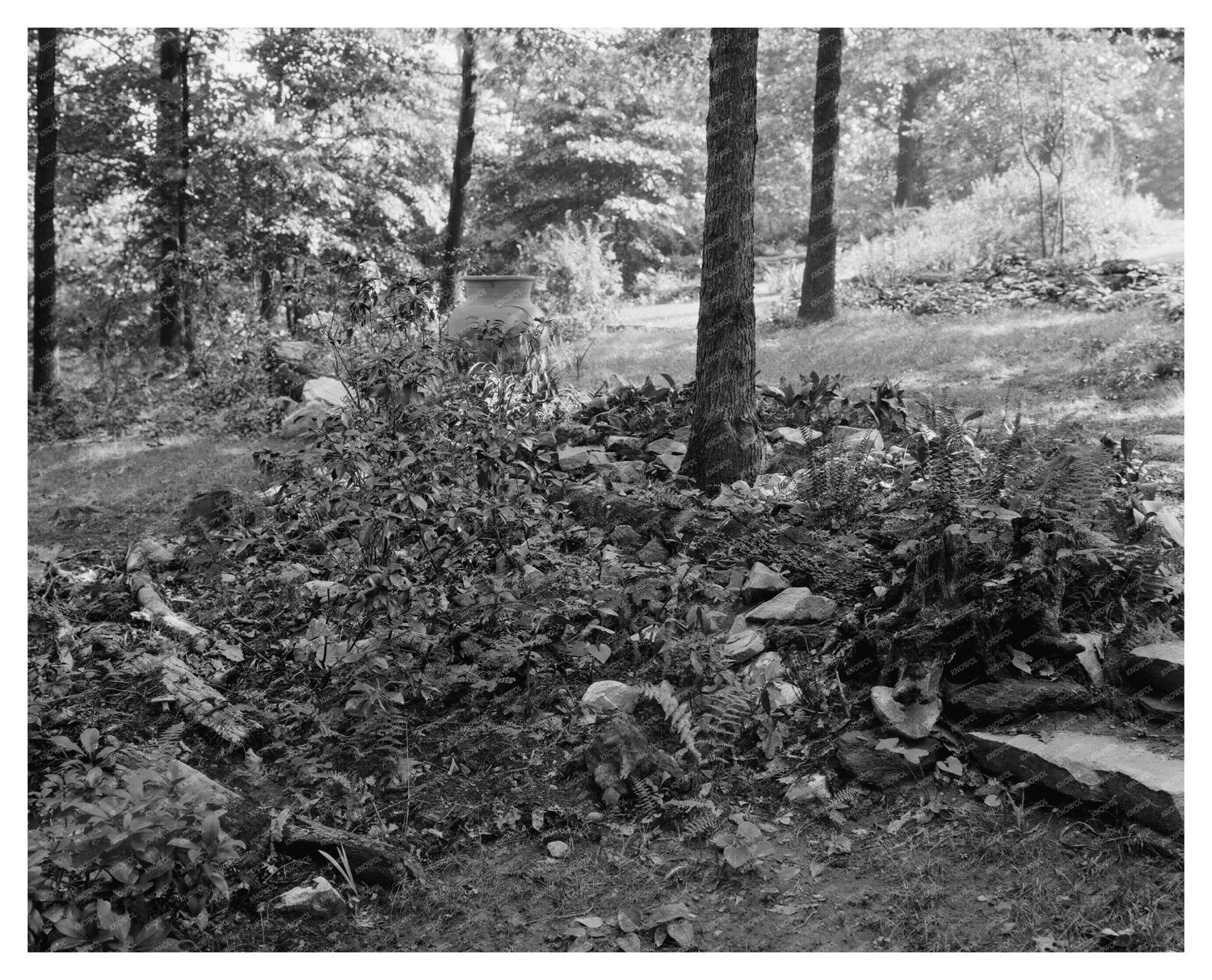 Stevenson MD Vintage Photo from Carnegie Survey 1900s – KNOWOL