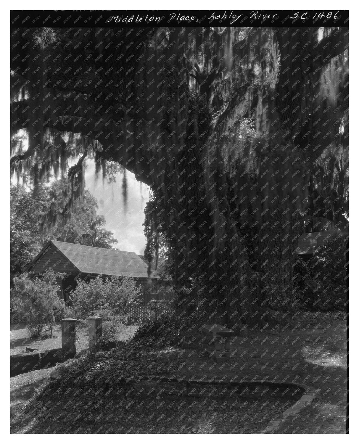 Historic 1755 Plantation, Dorchester County, SC 1938 – KNOWOL