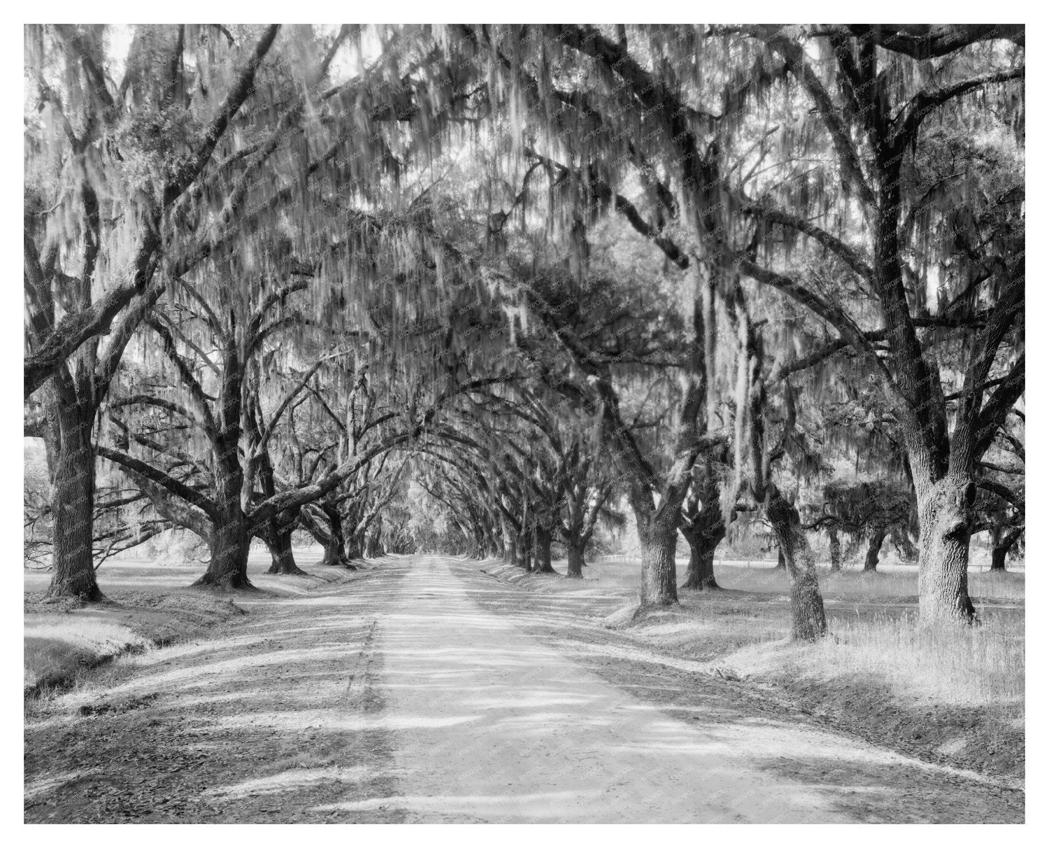 Historic Building in Sheldon, SC - 1820 Photo – KNOWOL