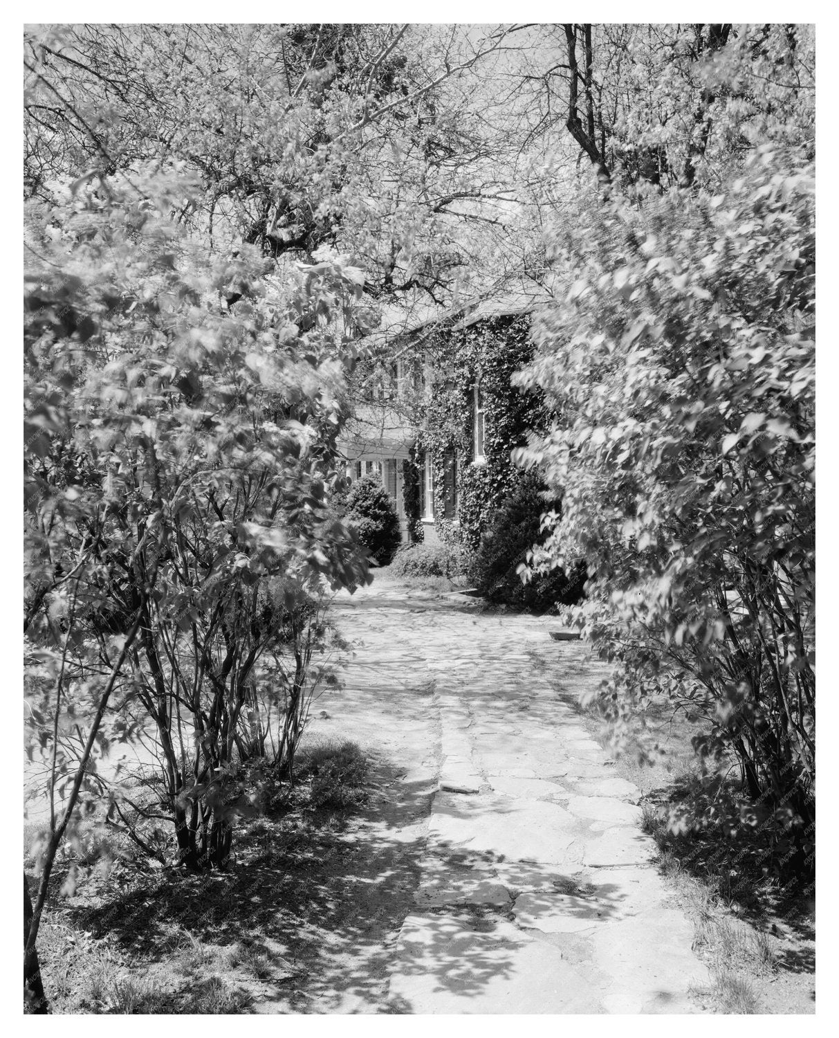 1953 Vintage Garden Scene in Middleburg, VA – KNOWOL