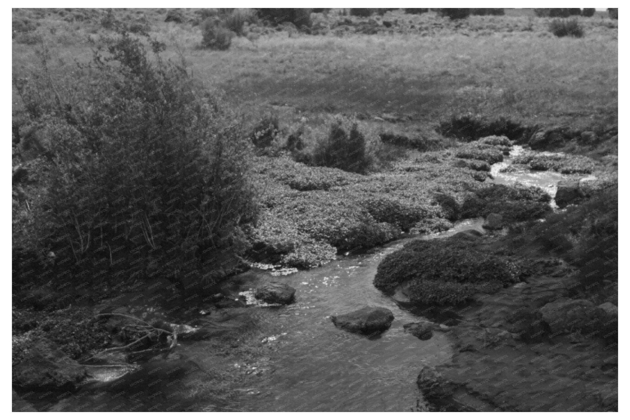 Concho Arizona Spring Water for Irrigation 1940 Image – KNOWOL