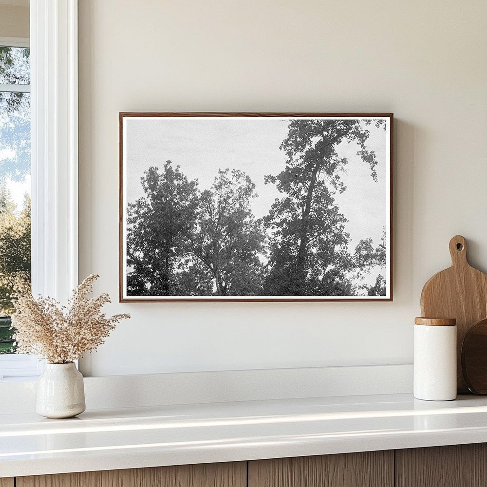 Slab House in Atoka Oklahoma June 1938 Vintage Image – KNOWOL